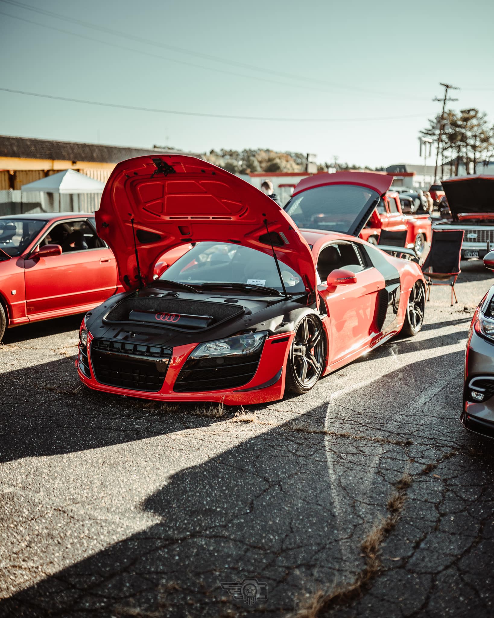 65 Roses · Photo Galleries