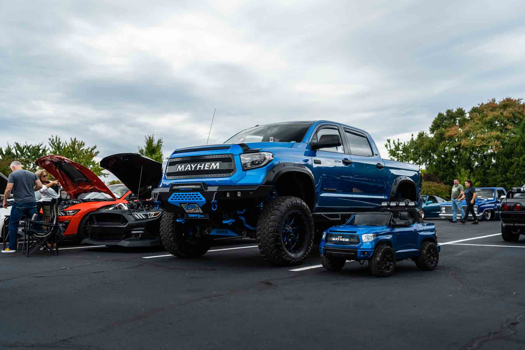 65 Roses · Photo Galleries